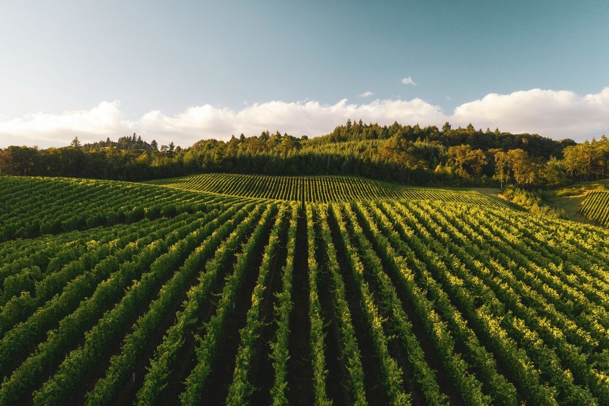Agricultural economy slumps as costs soar and profits dip - NACM News
